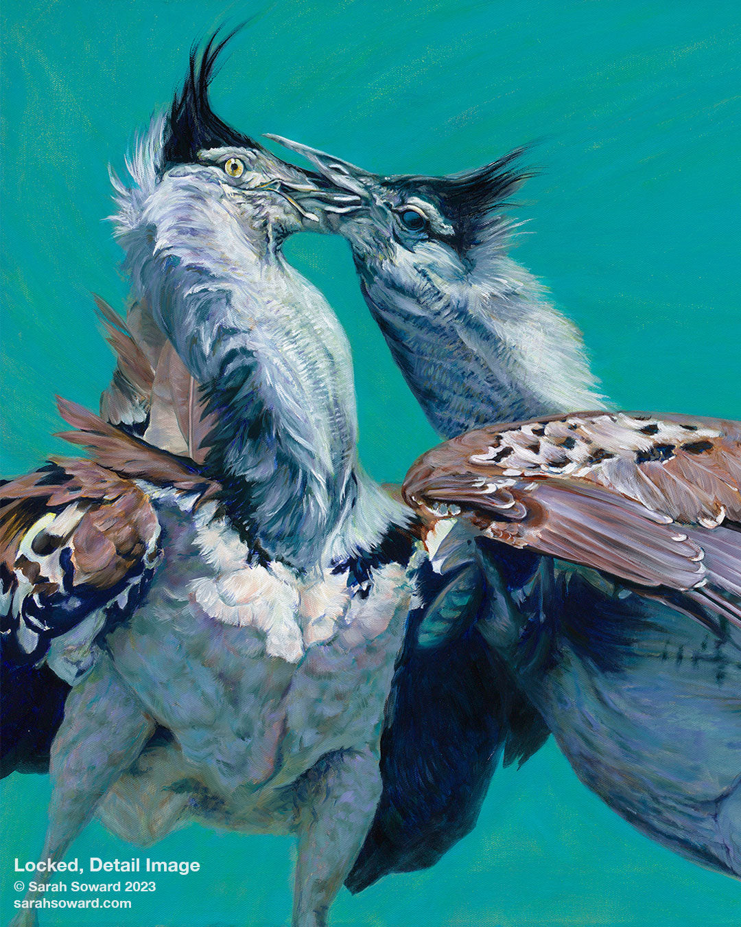 New Roads because I'm a Fighter, not a Fawner – Sarah Soward