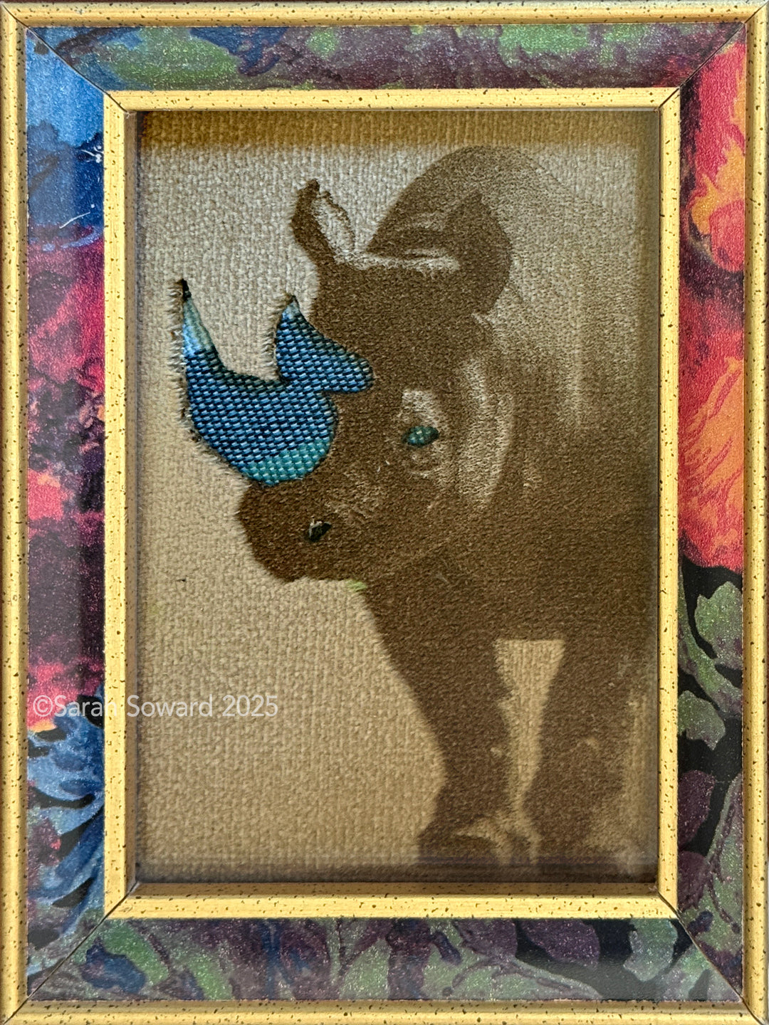 Beech, Rhino – Sarah Soward