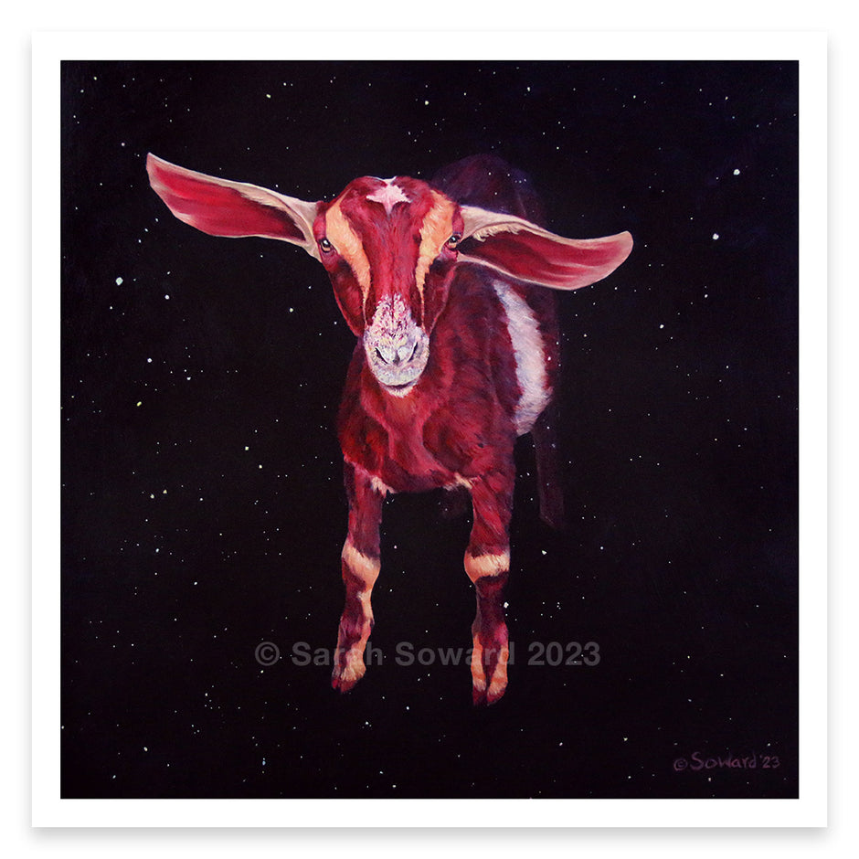 Sarah Soward Fine Art, Prints, and Books