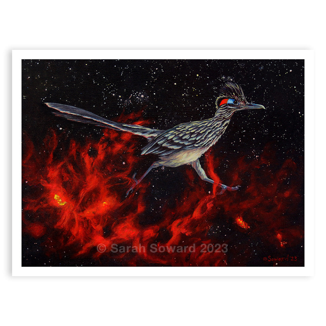Perseus Roadrunner, Prints – Sarah Soward